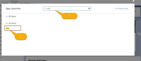 Salesforce Cases A Comprehensive Guide