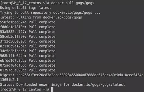 基于docker搭建gogs 跃小云 博客园