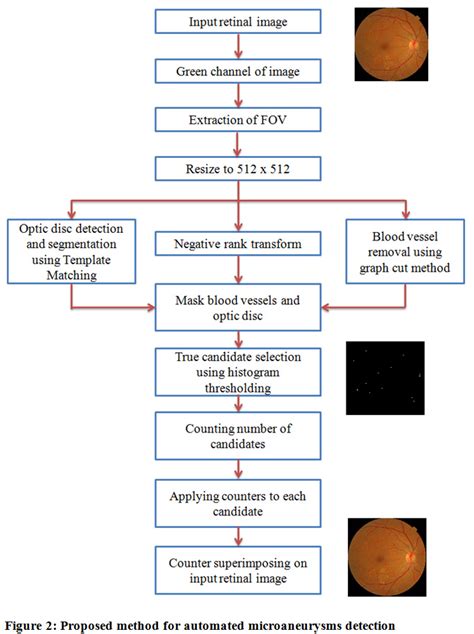 automated microaneurysms detection from retinal fundus images using