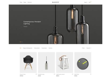 Best Wordpress Themes For Ecommerce Site Radiustheme