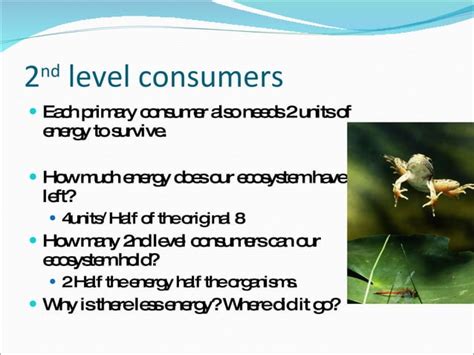 Ppt Ecology Energy Pyramid Ppt