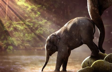 Passing On Wisdom Sharing Lessons Learned Around The Fire