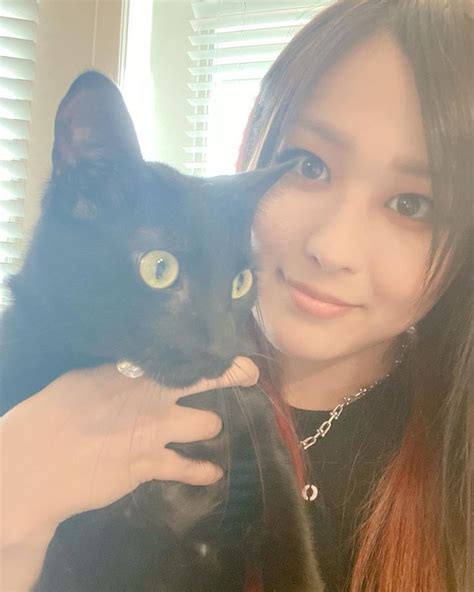 Io Shirai 紫雷イオ On Instagram Meow Blackcats 🐈‍⬛🐾🐾 抱っこ嫌い” In 2024 Odate Iyo Black Cat