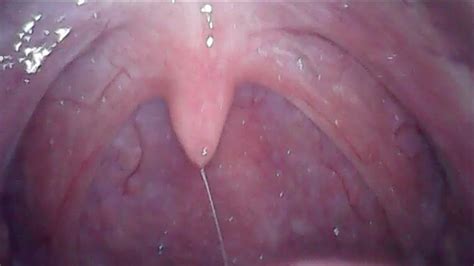 Yawning Magician Harboured His Tiny Body Inside My Pussy Uvula No