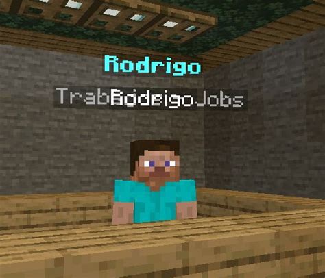 NPCs Bugs NO CITIZENS Issue GeyserMC Geyser GitHub