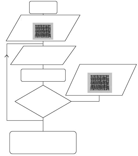 The 2d Strain Field Determination Process A Strain Field Is Applied To Download Scientific