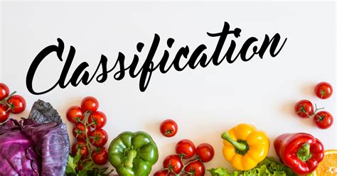 Vegetable Classification Nz