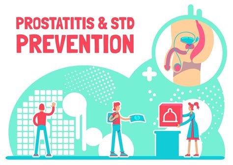 Prostatitis And Std Prevention Poster 1664216 Vector Art At Vecteezy