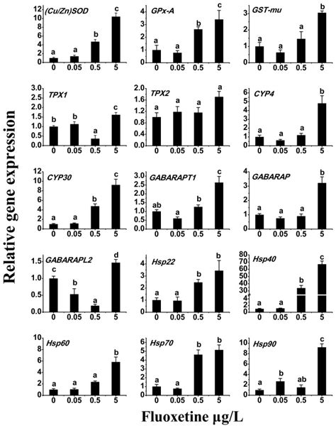 Experiments Were Performed In Triplicate And Repeated Three Times With