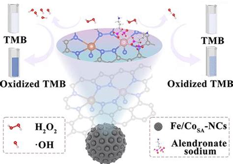 使用 Fe Co 单原子纳米酶的共价有机框架检测阿仑膦酸钠 Acs Applied Nano Materials X Mol