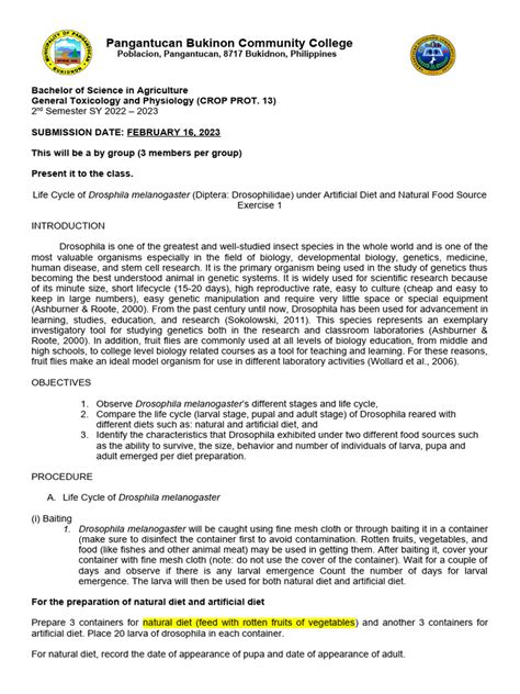 Performance Task 1 Laboratory Cp 13 Download Free Pdf Pupa Drosophila Melanogaster