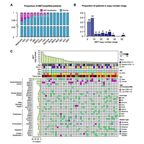 Clinicopathological Landscape Of Patients With Met Fusions A Diagram Download Scientific
