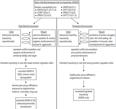 A Biological Vulnerability × Environmental Risk Interaction Model Of Download Scientific A Biological Vulnerability × Environmental Risk Interaction Model Of Download Scientific