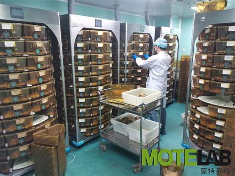 动物房实验室的设计与建设 生物制药核酸检测实验室 新材料认证实验室 化妆品食品实验室干细胞实验室深圳市宝诺实业有限公司