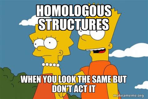 Homologous Structures When You Look The Same But Dont Act It Bart