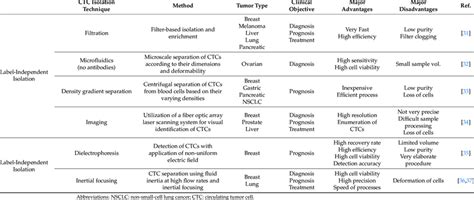 Schematic Representation Of The Main Ctc Label Independent Isolation