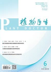 大医生杂志 首页