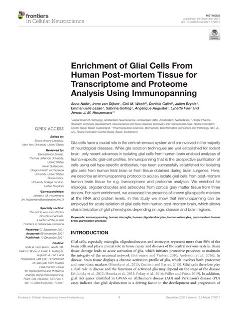 Pdf Enrichment Of Glial Cells From Human Post Mortem Tissue For