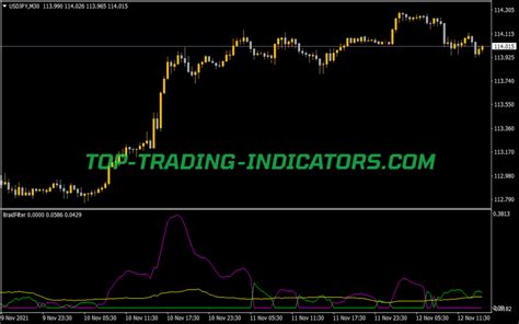 Braid Filter Top MT4 Indicators Mq4 Or Ex4 Top Trading Indicators Com Best Indicators