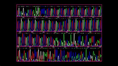 Oxford Nanopore Technologies Technology Networks