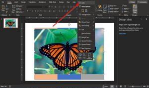 How To Split A Picture Into Pieces In PowerPoint