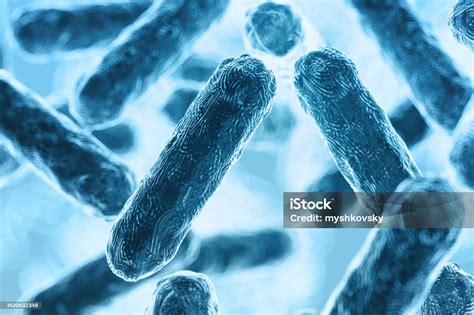 장내 세균 그람 음성 막대 모양의 박테리아 장내 미생물의 일부 및 다른 감염의 원인 물질 3d 렌더링 대장균 Klebsiella Enterobacter 및 기타 대장균에