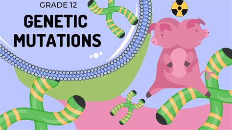 Mutations Differences Between Gene And Chromosomal Mutations Youtube