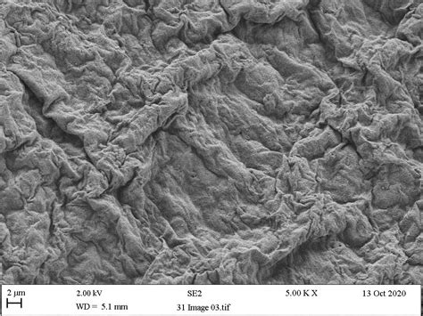 The Use Of Bacterial Cellulose As A Technical Textile Manchester Fashion Institute