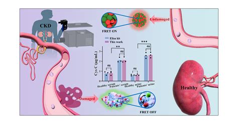 Fret Based Dual Color Carbon Dot Ratiometric Fluorescent Sensor Enables The Smartphone
