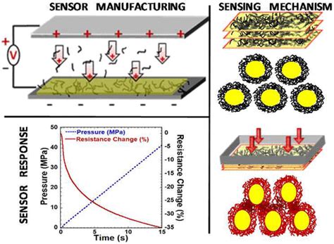 Thin And Flexible Carbon Nanotube Based Pressure Sensors With Ultrawide Sensing Range Acs Sensors
