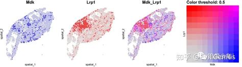 内容补充 空间转录组配受体共定位 知乎