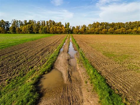 Aerial View Of A Dirt Dirt Road With Mud Between Fields And Trees After The Rain Stock Image