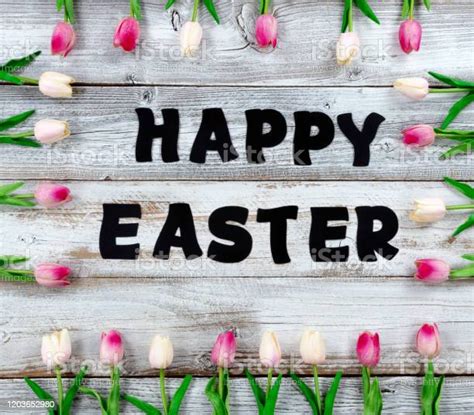 흰색 소박한 나무 플러스 편지 텍스트에 분홍색 튤립 상자 모양의 테두리와 해피 부활절 휴가 개념 0명에 대한 스톡 사진 및 기타 이미지 Istock