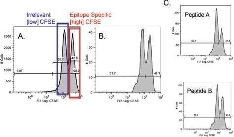 Antigen Specific In Vivo Killing Assay Using CFSE Labeled Target Cells