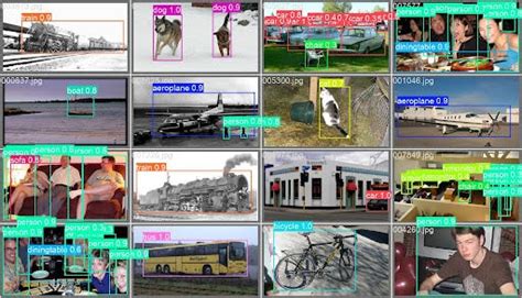 training yolov11 object detector on a custom dataset by esteban uri medium