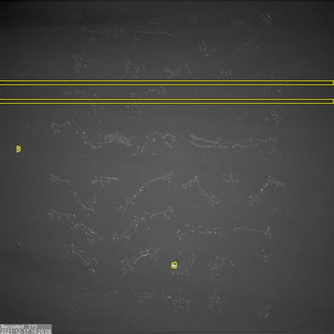 Problem With Finding Training Strategy Issue Matterport Mask RCNN GitHub