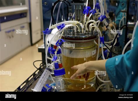 Bioreactor Hi Res Stock Photography And Images Alamy