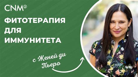 Фитотерапия для поддержки иммунитета - YouTube
