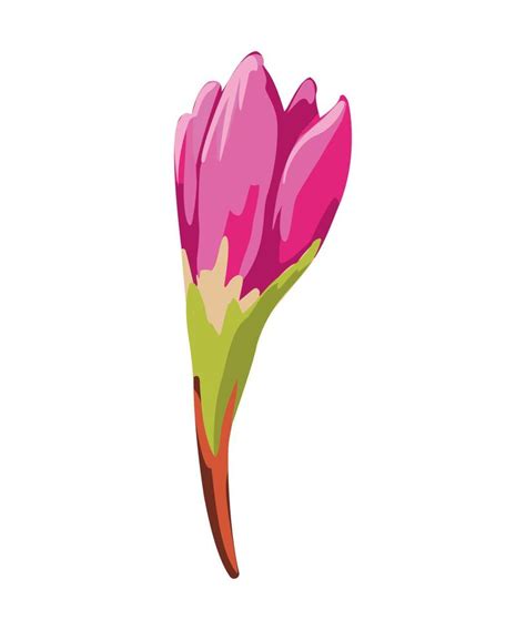 Vector Illustration Flower 14321708 Vector Art At Vecteezy