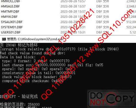 Oracle数据库中勒索病毒devos恢复 Oracle数据库恢复 Oracle数据库坏块恢复 Oracle数据库中勒索病毒devos恢复 Oracle数据库恢复 Oracle数据库坏块恢复