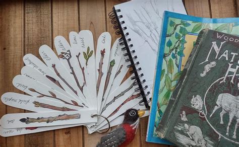 Tree Branch Identification Printable Etsy