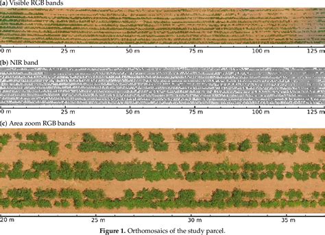 Figure 1 From Geographic Object Based Analysis Of Airborne