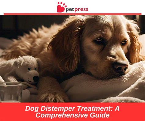 Dog Distemper Treatment A Comprehensive Guide Petpress