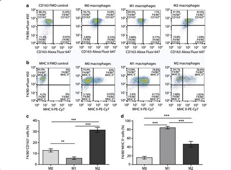 Analysis Of Surface Markers On Cultured Macrophages Following