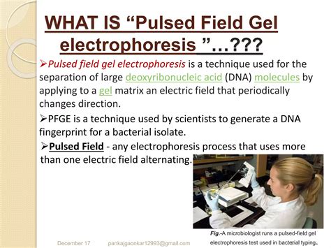 Pulse Field Gel Electrophoresis Pptx