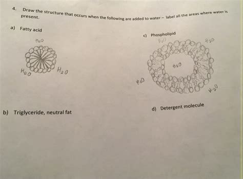 Solved How Do I Draw These Structures For 4 B And D And Chegg Com