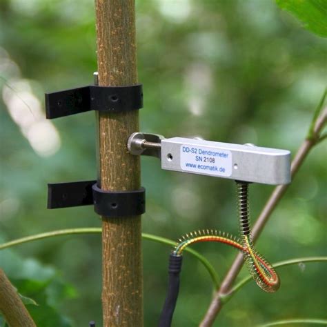 Stem Dendrometer Dd S Series Ecomatik Tree With Data Logger