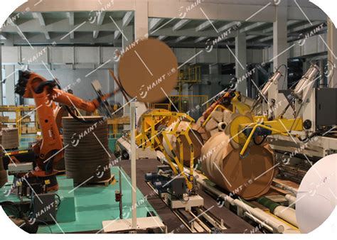 Industrial Assembly Line Robots For Inner Heads Placing Customized Color