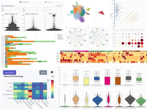 Single Cell Rna Seq Data Analysis