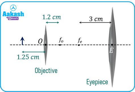 Compound Microscope Diagram Parts Working And Magnification Aesl